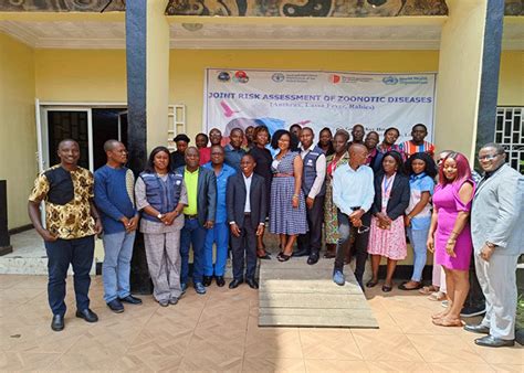 Who Conducts Risk Assessmenton Lassa Fever The News Newspaper Liberia