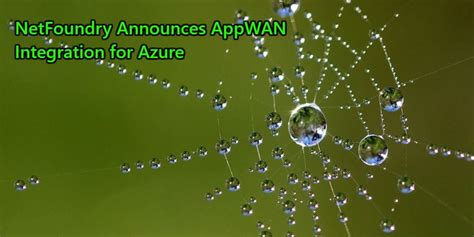 Netfoundry Announcing New Appwan Integration For Azure