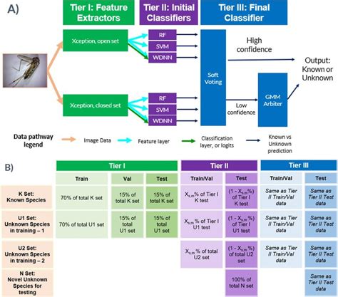 Mosquito Species Identification Using Convolutional Neural Networks