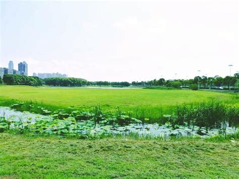 七絕淺水灣今日立秋 每日頭條