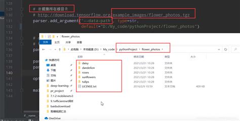 【深度学习 图像分类篇】一文全：pytorch搭建efficientne图像分类网络 pytorch实现efficietnet图像分类 csdn博客