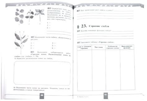 Рабочая Программа 8 Класс Пасечник - zavoddino