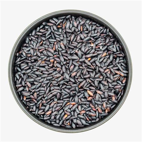 黑米农作物粮食素材图片免费下载 千库网