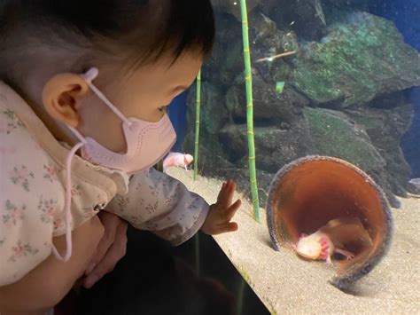 멕시코 도룡용 우파루파 키우기 도롱뇽 먹이 급여방법 네이버 블로그