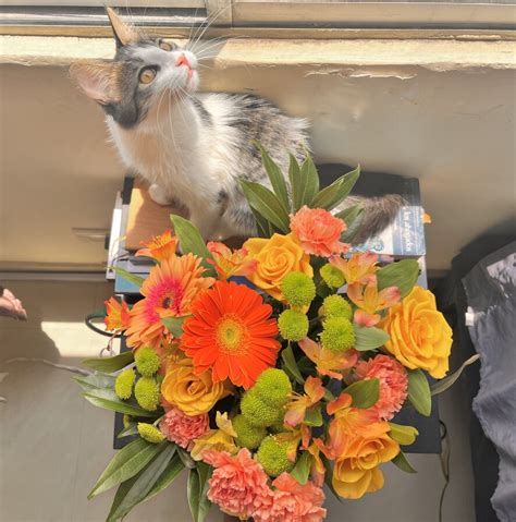 Davidc Webcam Model Profile Xhamsterlive