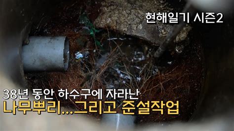38년 동안 하수구 속에서 몰래 자라고 있었던 나무뿌리 Youtube
