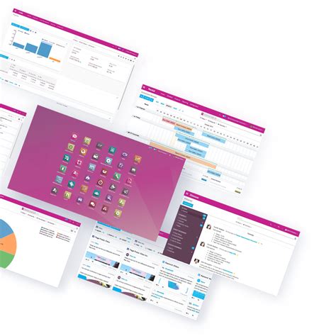Odoo ERP Implementation HOUSE