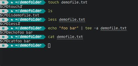Terminal Outputs Cmd After Any Command Rmanjarolinux