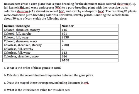 Solved Researchers Cross A Corn Plant That Is Pure Breeding Chegg Com