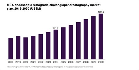 Middle East And Africa Endoscopic Retrograde Cholangiopancreatography Market Size And Outlook 2030