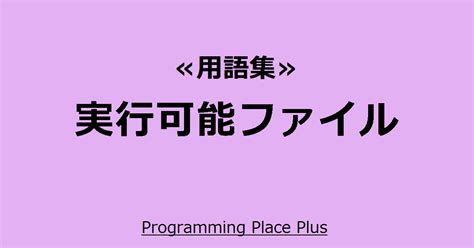実行可能ファイル Programming Place Plus 用語集
