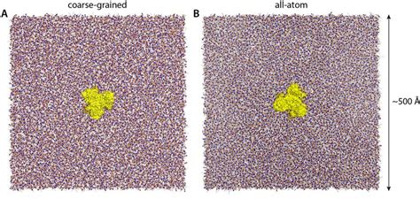 Figure Supplement 1 Molecular Simulation Systems A Coarse Grained Download Scientific
