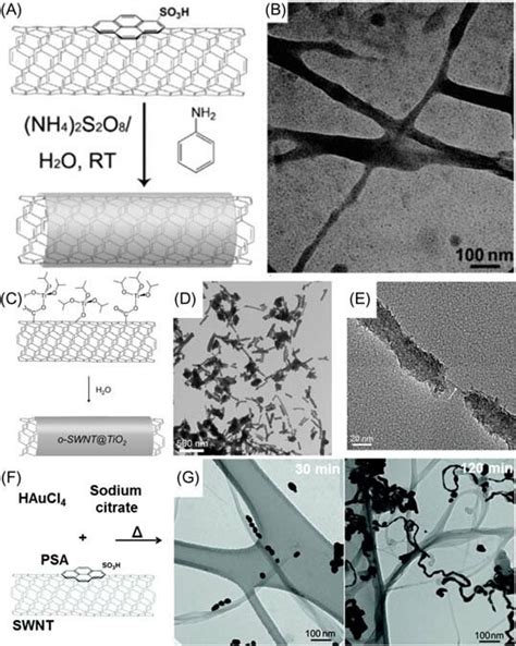1 Composite Synthesis Of Swntpani Core Shell O Swnttio 2 And Download Scientific Diagram