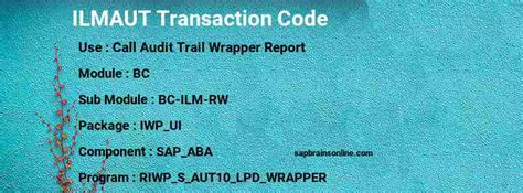Ilmaut Sap Tcode For Call Audit Trail Wrapper Report