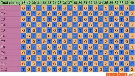 M Ch B N C Ch T Nh Tu I Sinh Con Trai Con G I Chu N Nh T Hi N Nay