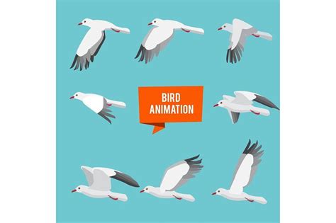 key frames of animation flying bird