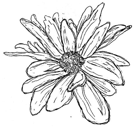 Flower Scribble Art