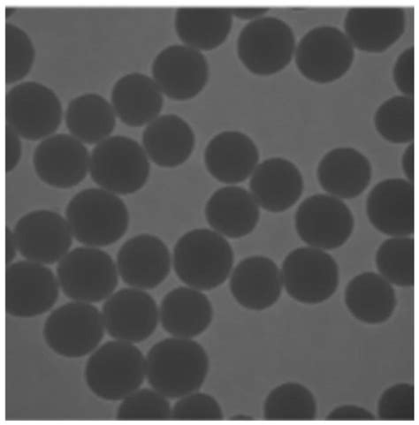 polyethyleneimine modified porous silicon dioxide coating ldh core