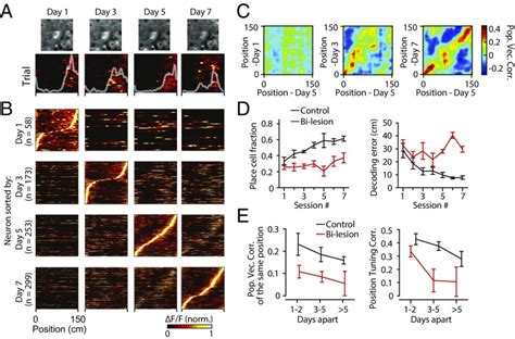 Hippocampus Dependent Emergence Of Spatial Sequence Coding In Retrosplenial Cortex Pmc