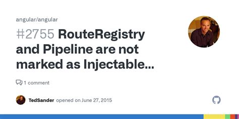 Routeregistry And Pipeline Are Not Marked As Injectable But Are