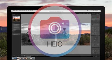 How To Import Heic Photos Into Lightroom On Windows Mac