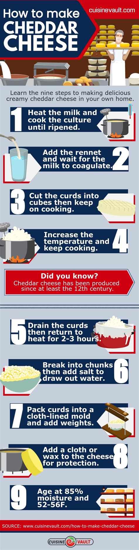 Infographic How To Make Cheddar Cheese