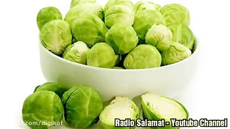 چرا بدن به پروتئین نیاز دارد و خوراکیهای سرشار از پروتین کدامند؟؟