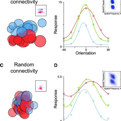 Sf And Orientation Selectivity In The Model And Mouse V1 Download