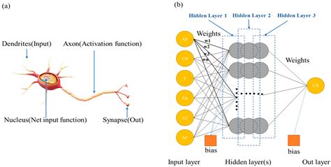 Machine Learning Algorithm Based Prediction Model And Software Implementation For Strength