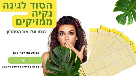 איך למנוע ממזיקים לטפס על הצמחים הדברה אורגנית Youtube
