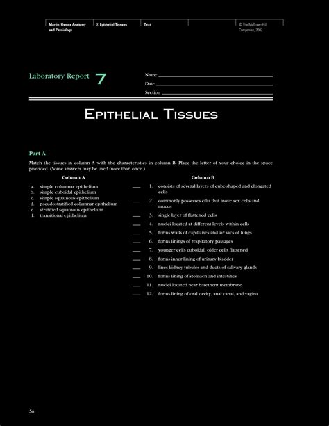 SOLUTION Epithelial Tissues Laboratory Exercise And Report Compressed Studypool