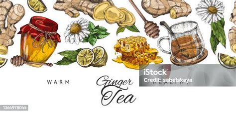 꿀 민트 잎 카모마일 꽃 흰색에 스케치 벡터 그림 생강 차 원활한 배너 꿀에 대한 스톡 벡터 아트 및 기타 이미지 꿀 레몬 스케치 Istock