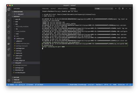 Testing Mta Based App Runtime In Vs Code Sap Community