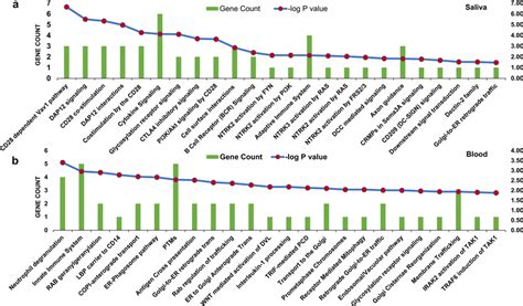 Enriched Reactome Pathway Analysis Histogram Of Top 25 Reactome Download Scientific Diagram