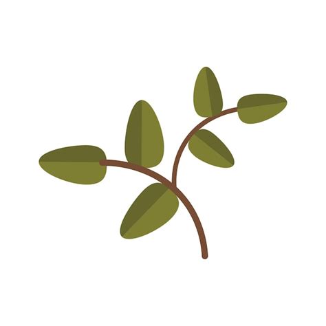 Premium Vector Nature Vector Twig Isolated Illustration Premium Vector Nature Vector Twig Isolated Illustration