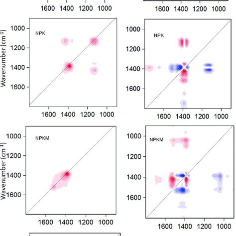 synchronous and asynchronous 2d correlation maps generated from the