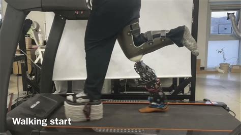 Gait Phase Estimation And Speed Adaptive Trajectory Generation For A Robotic Transfemoral