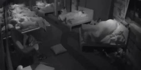 Big Brother Uk Sex Between Steven Goode And Kimberly Kisselovich