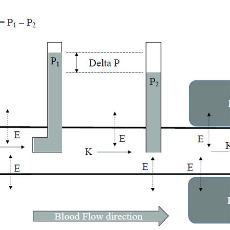 Ibp And Nibp Measurement Systems Download Scientific Diagram