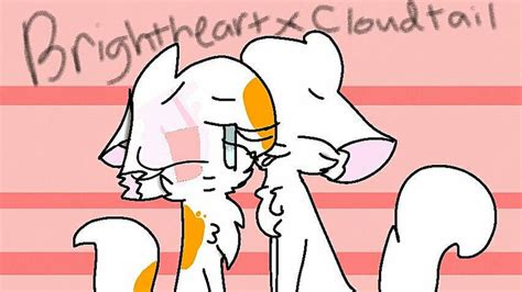 Brightheart X Cloudtail By Doughchebagowo On Deviantart