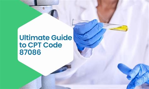 Cpt Code 93296 Description Usage Examples And Billing Guide