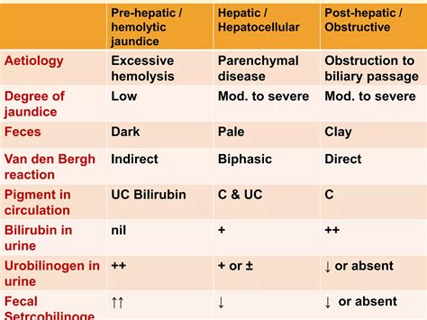 Liver Function Test And Jaundice Pptx