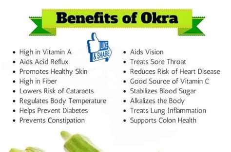 Okra Health Benefits And Side Effects Blog Undersun Biomedtech Corp