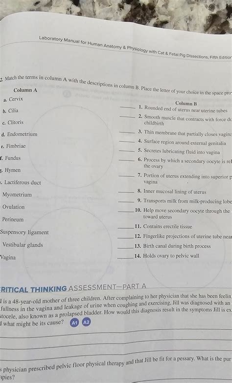 Solved 2 Match The Terms In Column A With The Descriptions Chegg Com