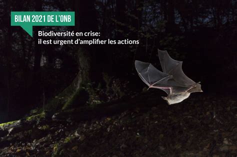 Bilan 2021 De Lobservatoire National De La Biodiversité Lagence