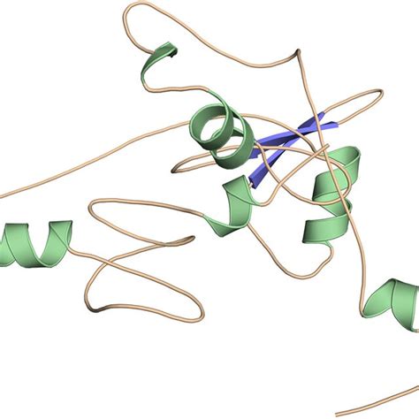 Secondary Structure Prediction Of The Final Multi Epitope Vaccine Download Scientific Diagram