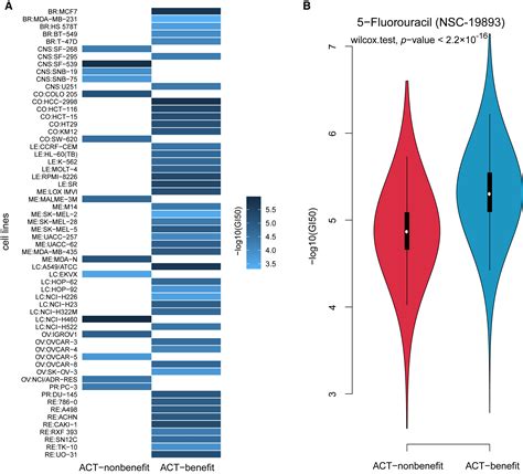 Discovery And Validation Of A 10 Gene Predictive Signature For Response To Adjuvant Chemotherapy
