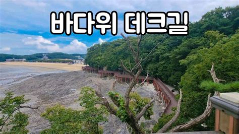 바다길을 세번 건너야 갈수 있는 섬 바다 위를 걷는 데크길 서울 근교 가 볼 만한 섬 복고 컨셉의 레트로 카페 바로 앞 바다 이국적인 카페 선재도