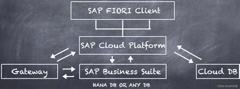 【学习笔记】sap Fiori相关概念介绍 Csdn博客
