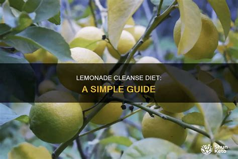 Lemonade Cleanse Diet A Simple Guide Shunketo